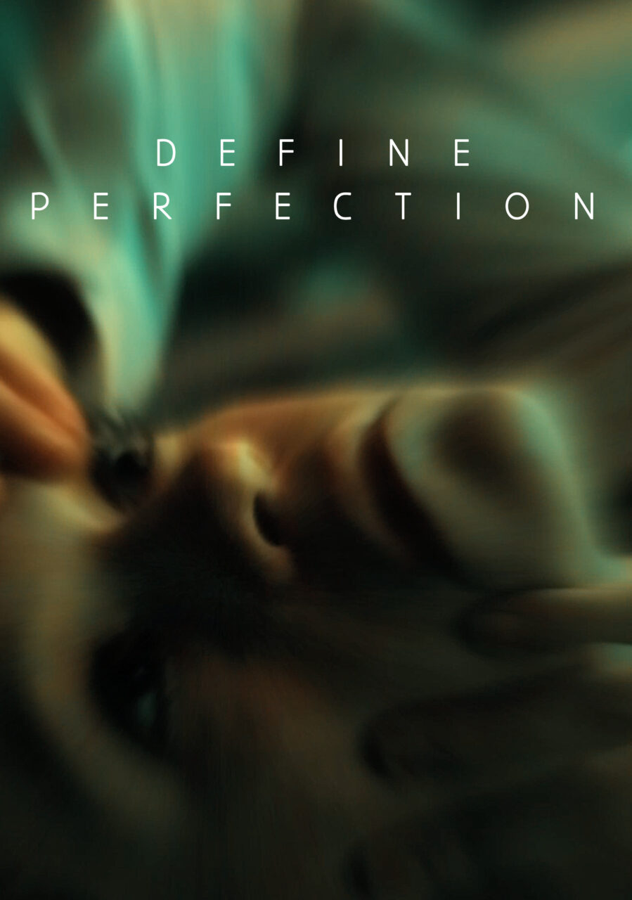 Define Perfection - Dreamcastle Films